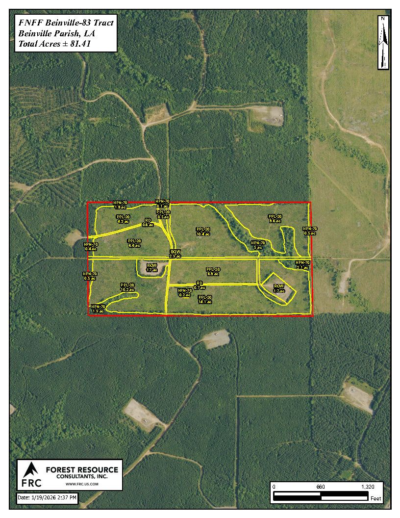 off Hwy 517, Gibsland, LA 71028 | LandWatch