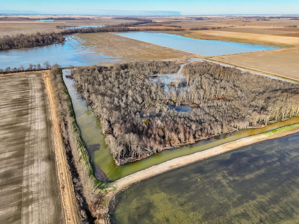 TBD County Road 271, Cash, AR 72421 | MLS: Craighead 41 | LandWatch