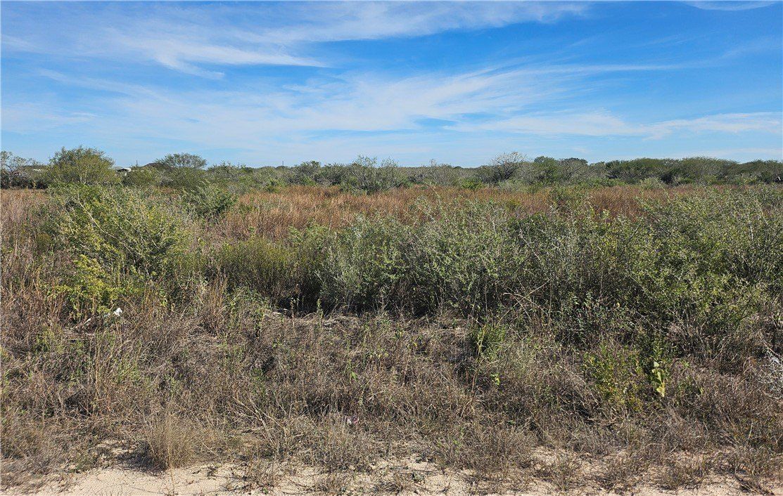 20 County Road 1431 lot: 20, Alice, TX 78384 | MLS: 468760 | LandWatch