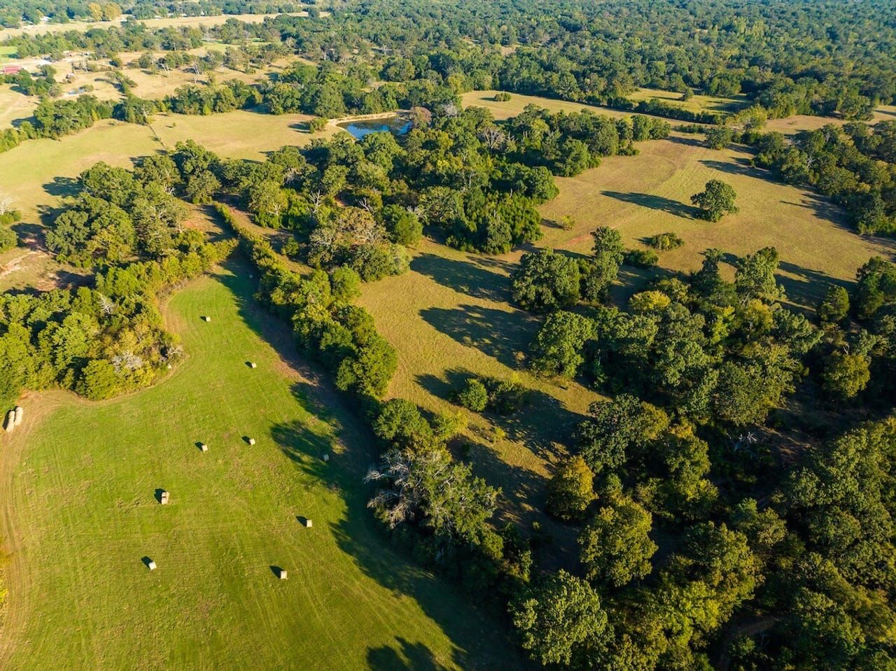 County Road 3911, Athens, TX 75752 | LandWatch