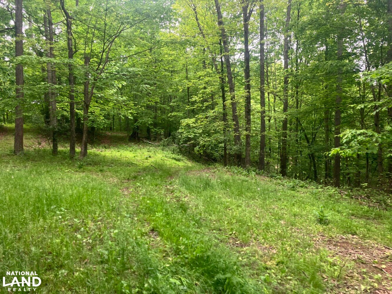 1180 LITTLE TRACE RUN RD, Exchange, WV 26619 | LandWatch