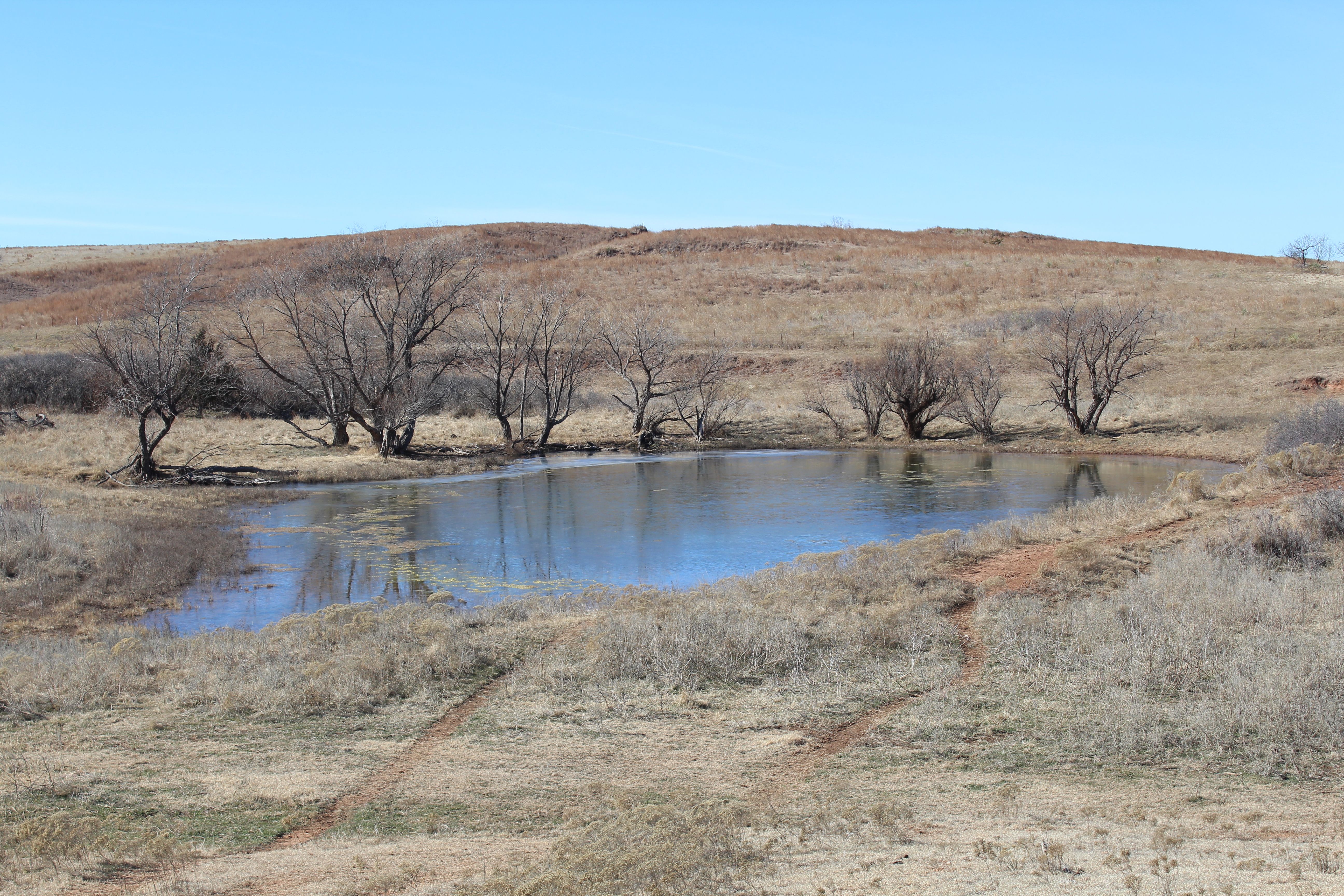 520 acres in Freedom, OK, 73842 | MLS: 11651545 | LandWatch
