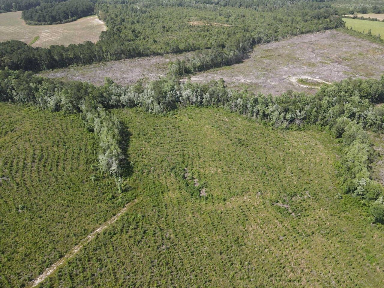 Highway 4, Wing, AL 36483 | LandWatch