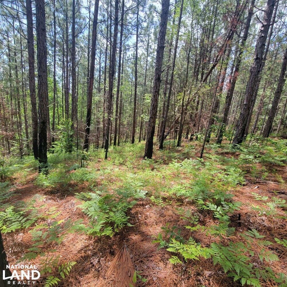 0 County Road 149, Sycamore, AL 35149 | LandWatch