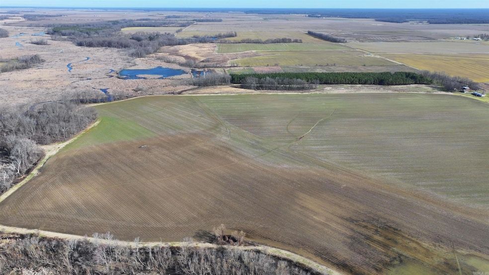 293 E Sidney Noble Lane, Dewitt, AR 72042 | MLS: 25033196 | LandWatch