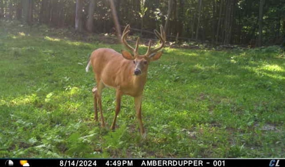 00 V/L Amber Rd., Mears, MI 49436 | LandWatch