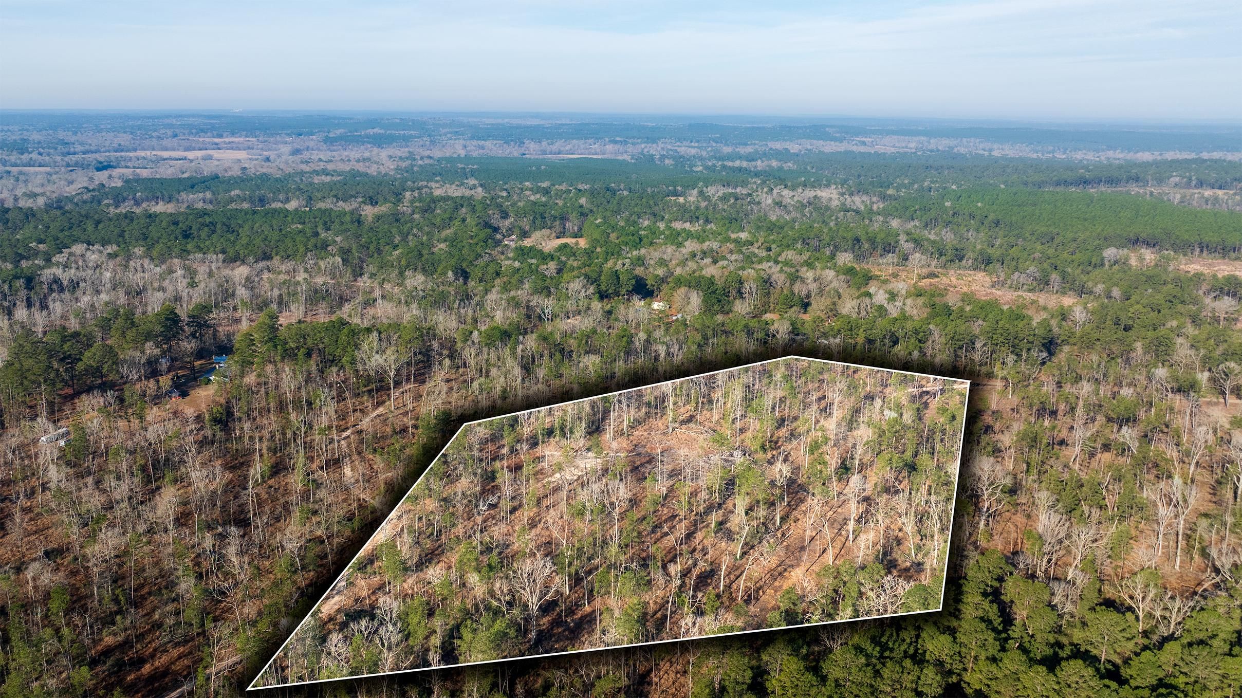 County Road 2590, Chester, TX 75936 | LandWatch