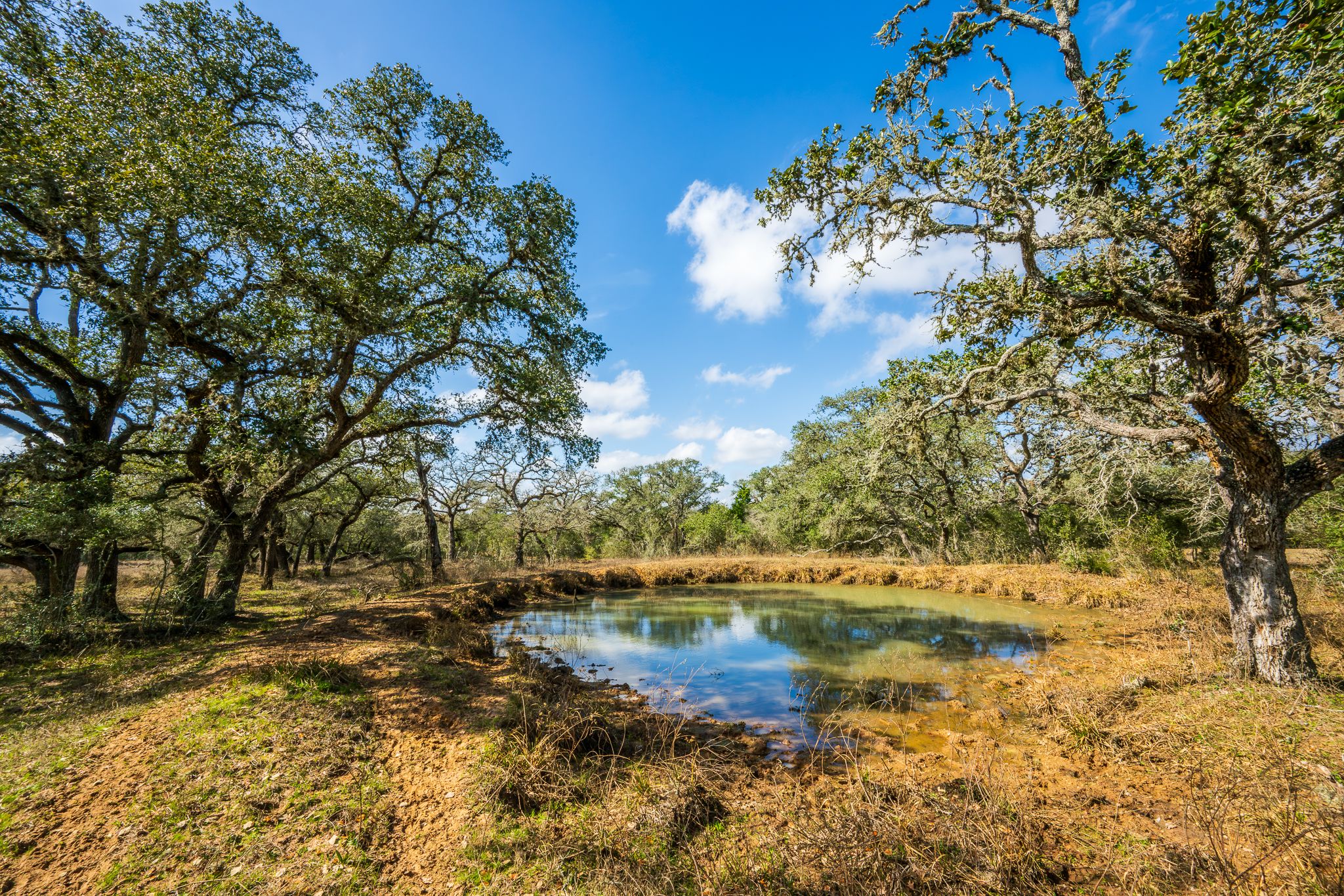 16297B Tx- 111, Yoakum, TX 77995 | MLS: sabor|1844056 | LandWatch