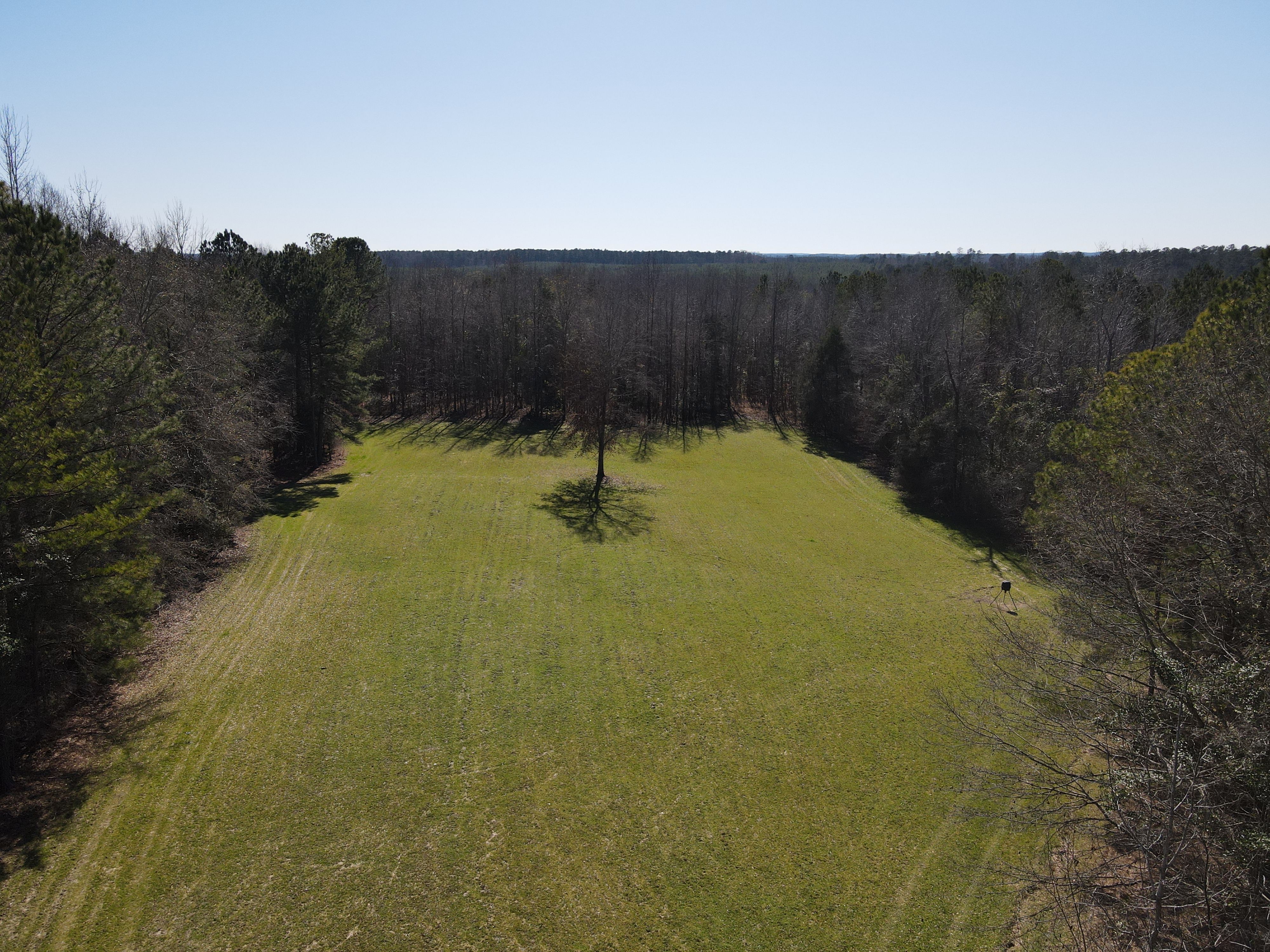 MT Moriah Road Tract-49ac-Choctaw AL, Yantley, AL 36912 | LandWatch