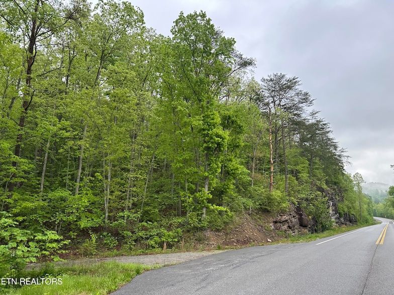 8472 Highway 25 W N, Duff, TN 37729 | MLS: 1300445 | LandWatch