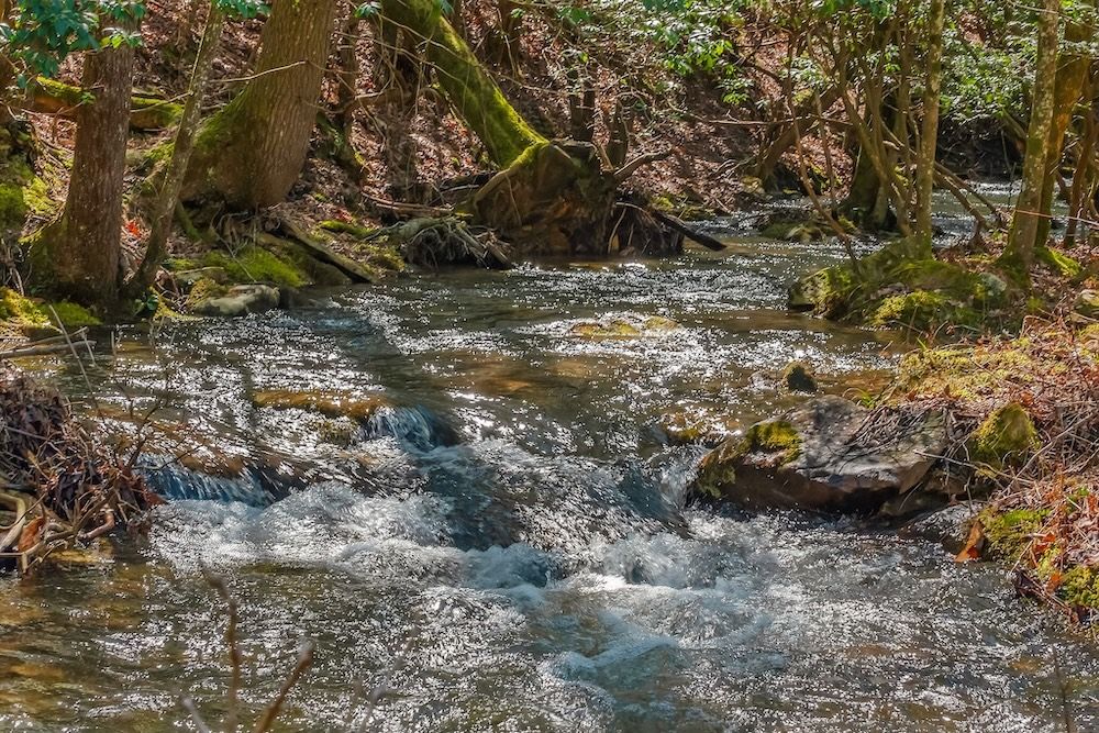 573.83AC Daus Mountain Road, Palmer, TN 37365 | LandWatch