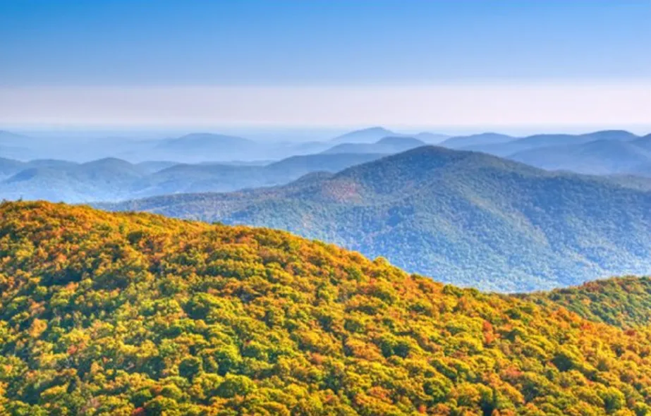 Blue Ridge, GA Land for Sale, Land for Sale in Blue Ridge, GA, Land for ...