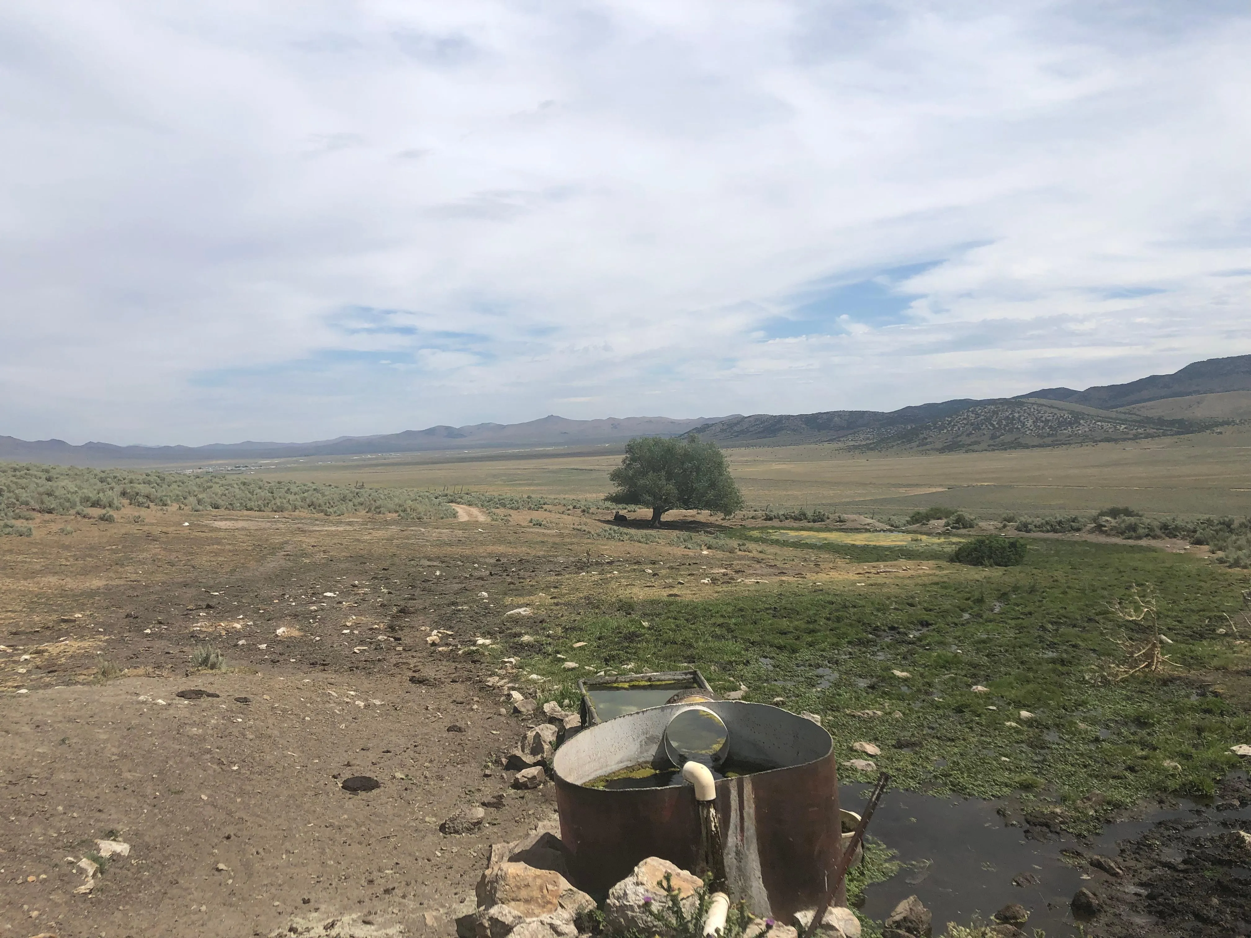 Nevada Farms and Ranches for Sale - 1,570 Listings | LandWatch