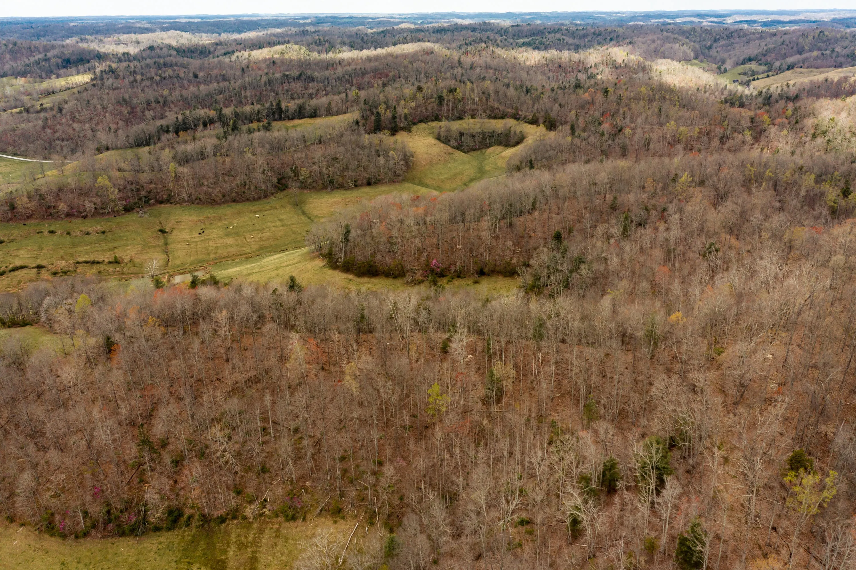 Eastern Region, KY Farms and Ranches for Sale - 30 Listings | LandWatch