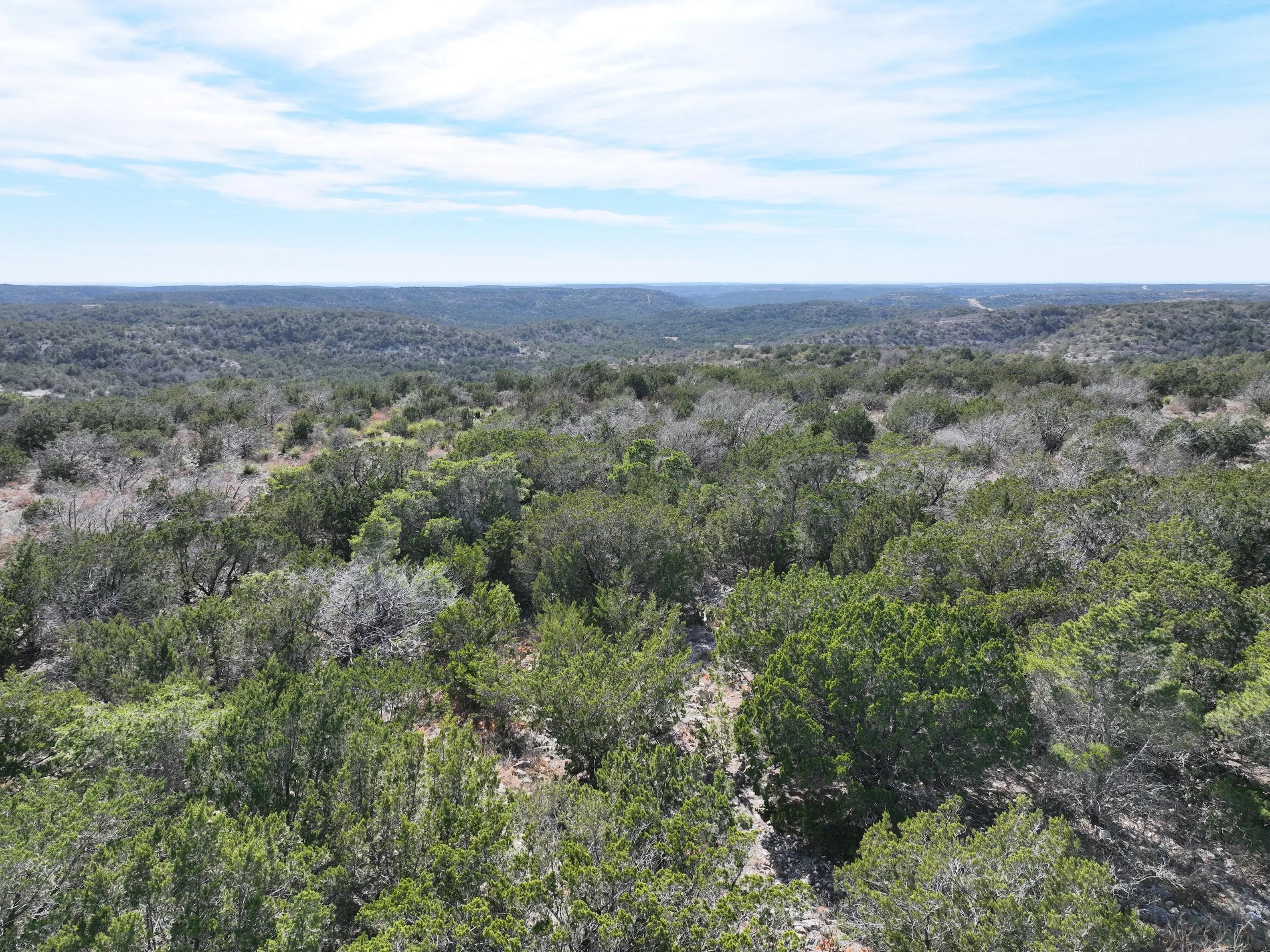 Edwards Plateau West Region, TX Land for Sale between 101 and 200 Acres ...