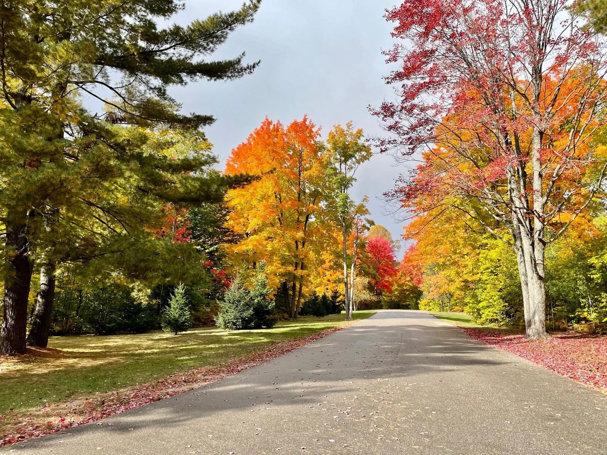 Michigan Land for Sale up to $50K - 3,686 Listings | LandWatch