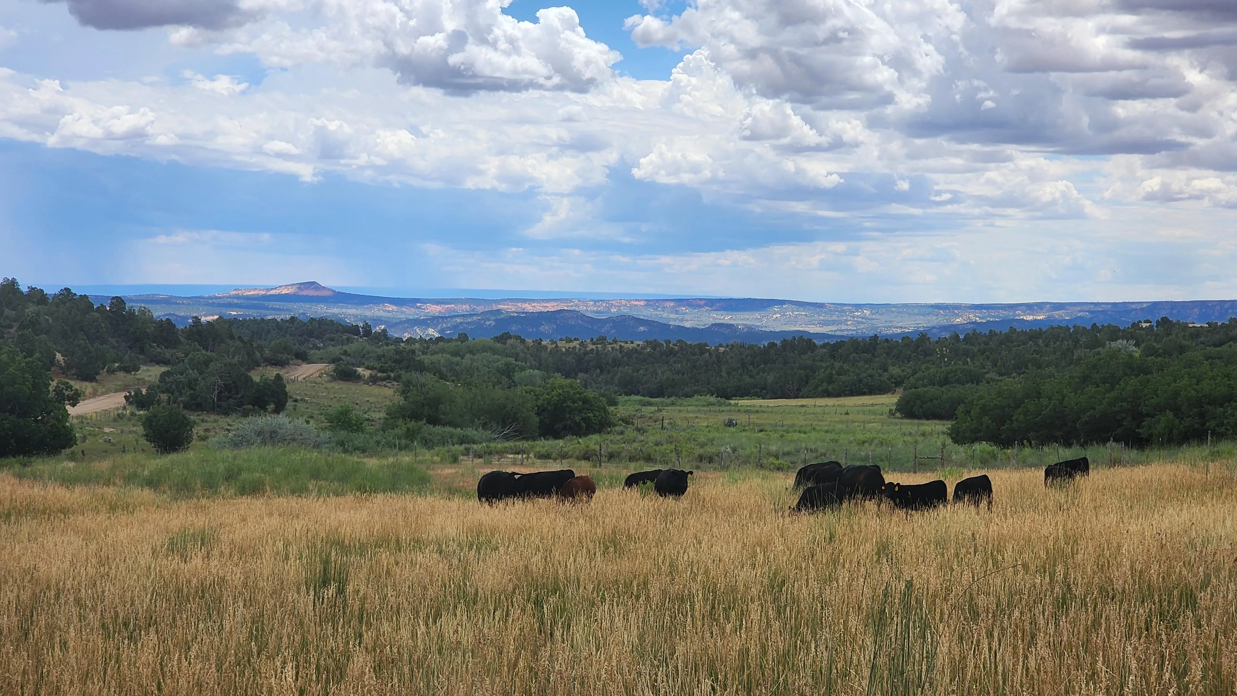 Utah Land for Sale over 500 Acres - 43 Listings | LandWatch