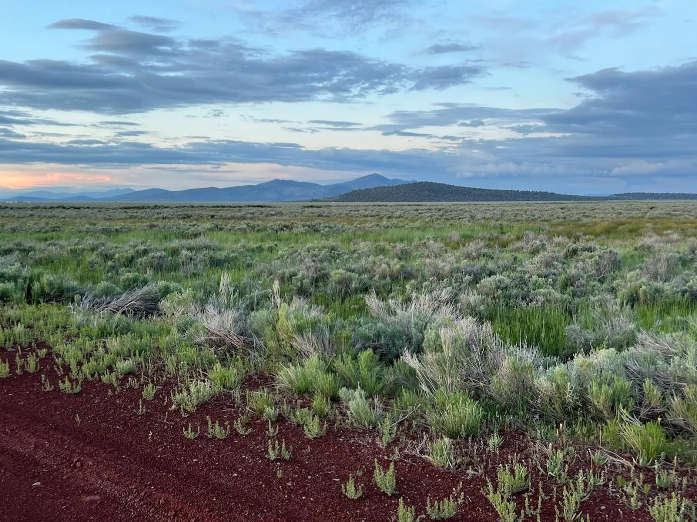 California Land for Sale up to $50K - 4,202 Listings | LandWatch