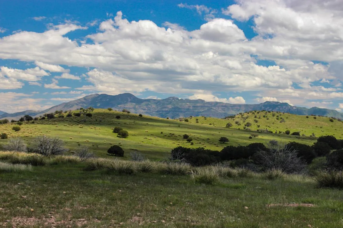 New Mexico Farms and Ranches for Sale - 232 Listings | LandWatch