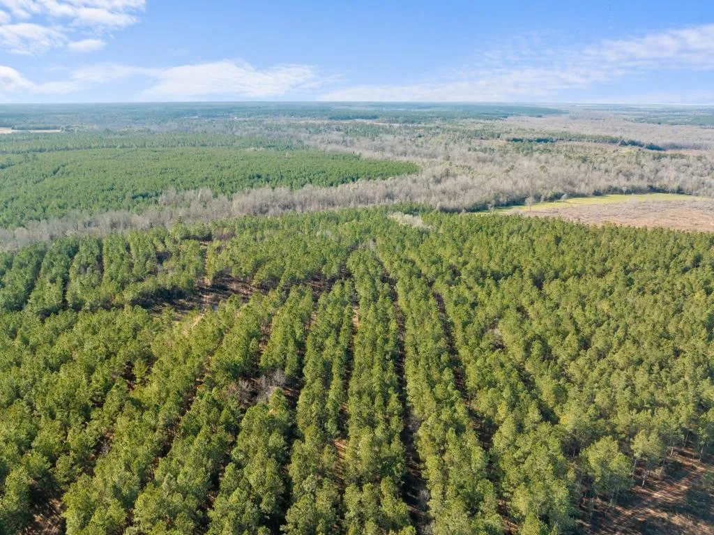 Burke County, GA Land for Sale between 201 and 500 Acres - 3 Listings ...