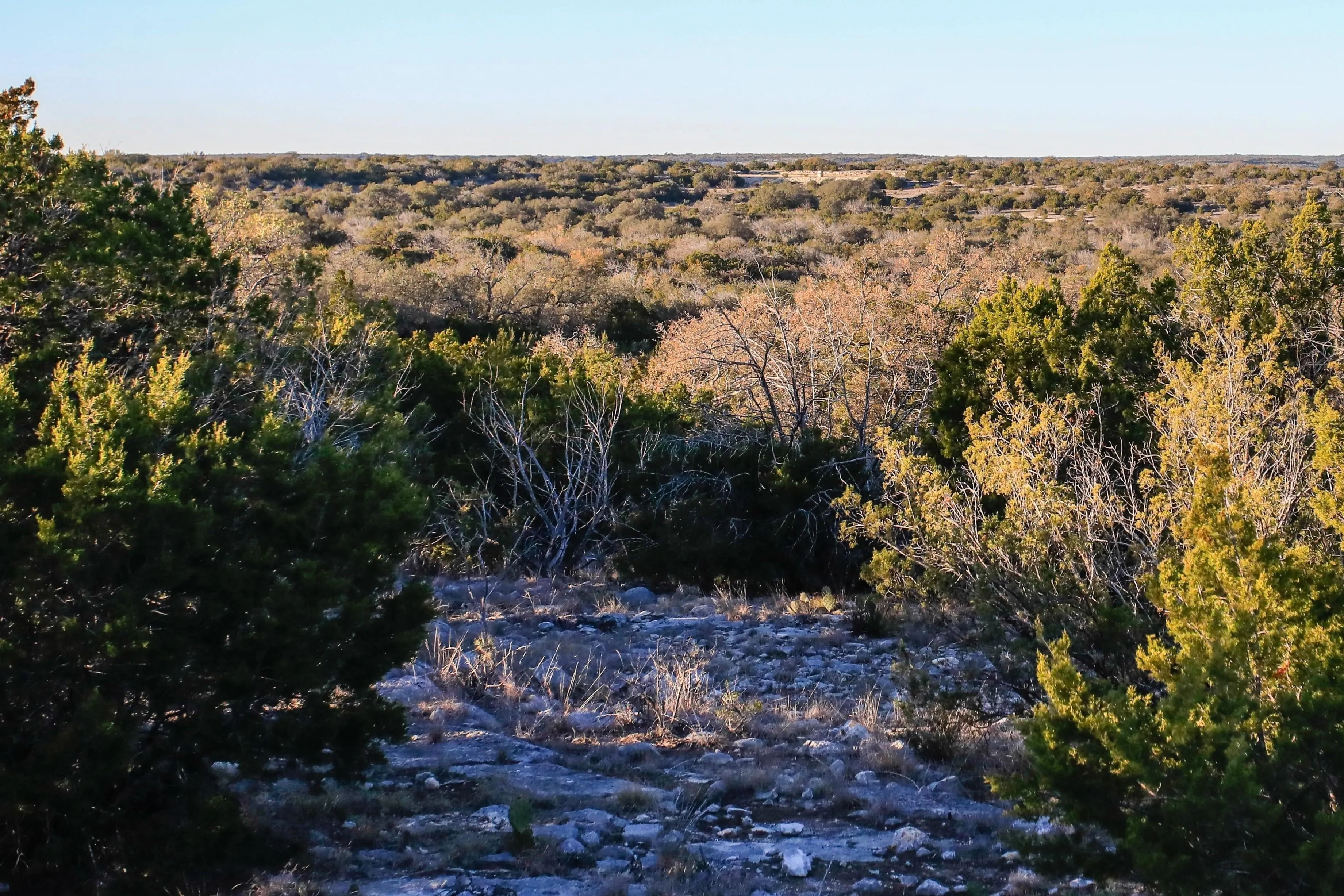 Edwards Plateau West Region, TX Hunting Land for Sale over 500 Acres ...