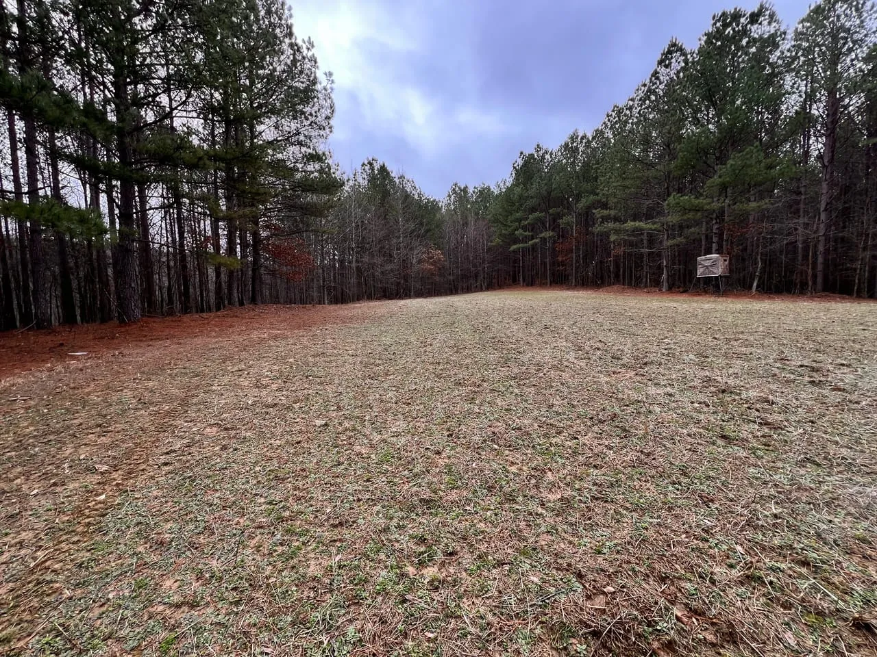 Kentucky Timberland Properties for Sale - 52 Listings | LandWatch