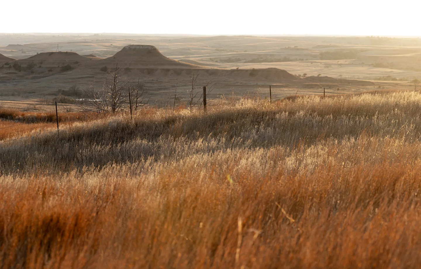 Barber County, KS Land for Sale - 22 Listings | LandWatch