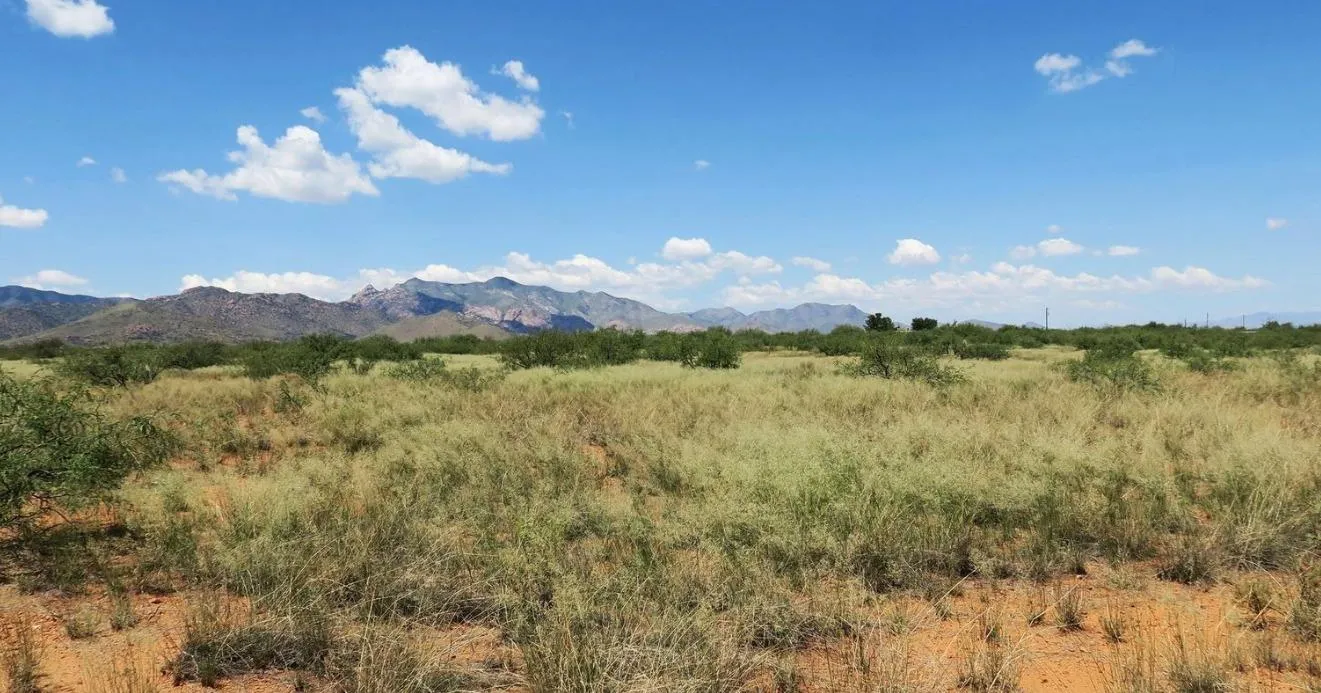 Cochise County, AZ Owner Financing Land for Sale up to $50K - 45 ...