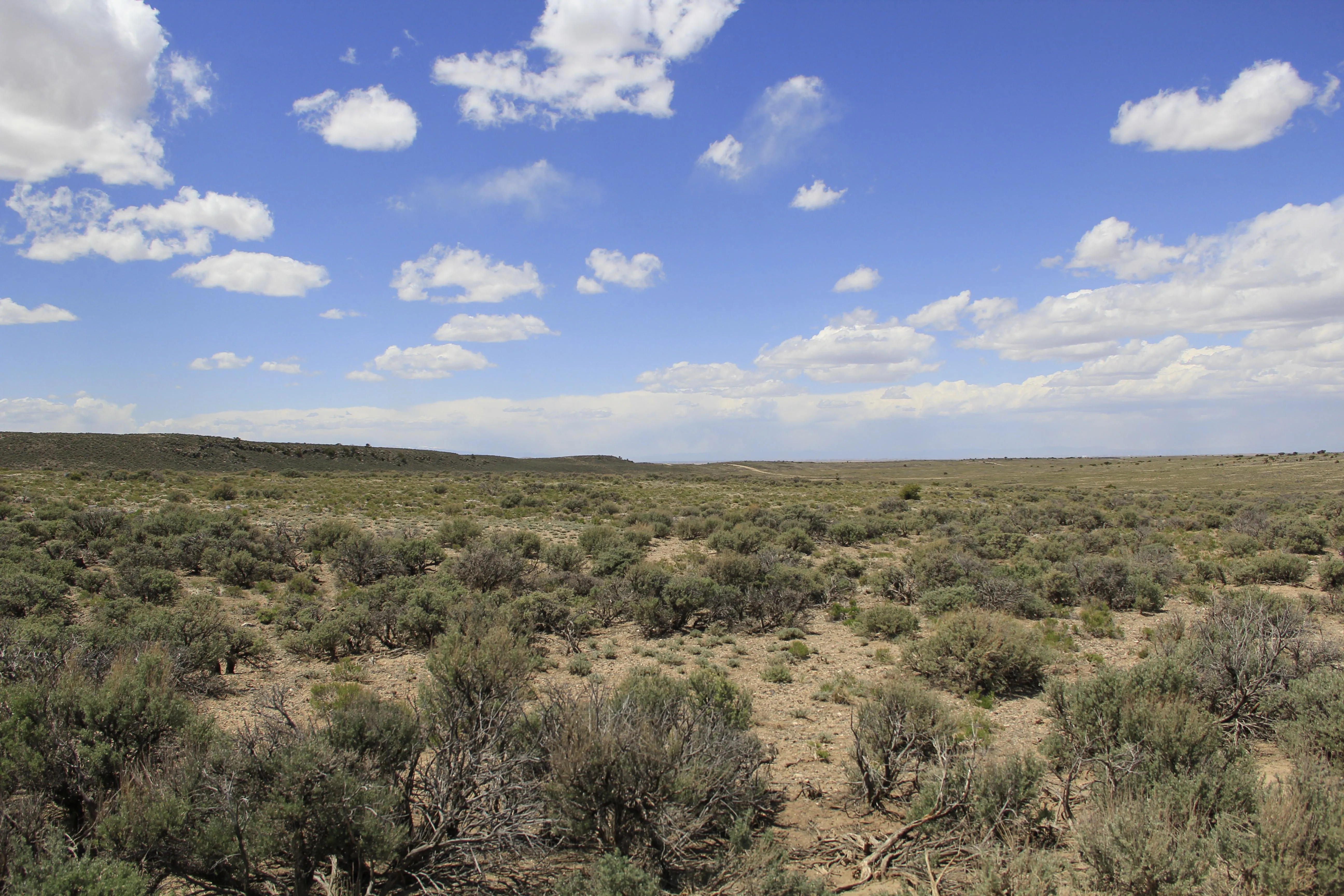 Colorado Land for Sale up to $50K - 1,222 Listings | LandWatch