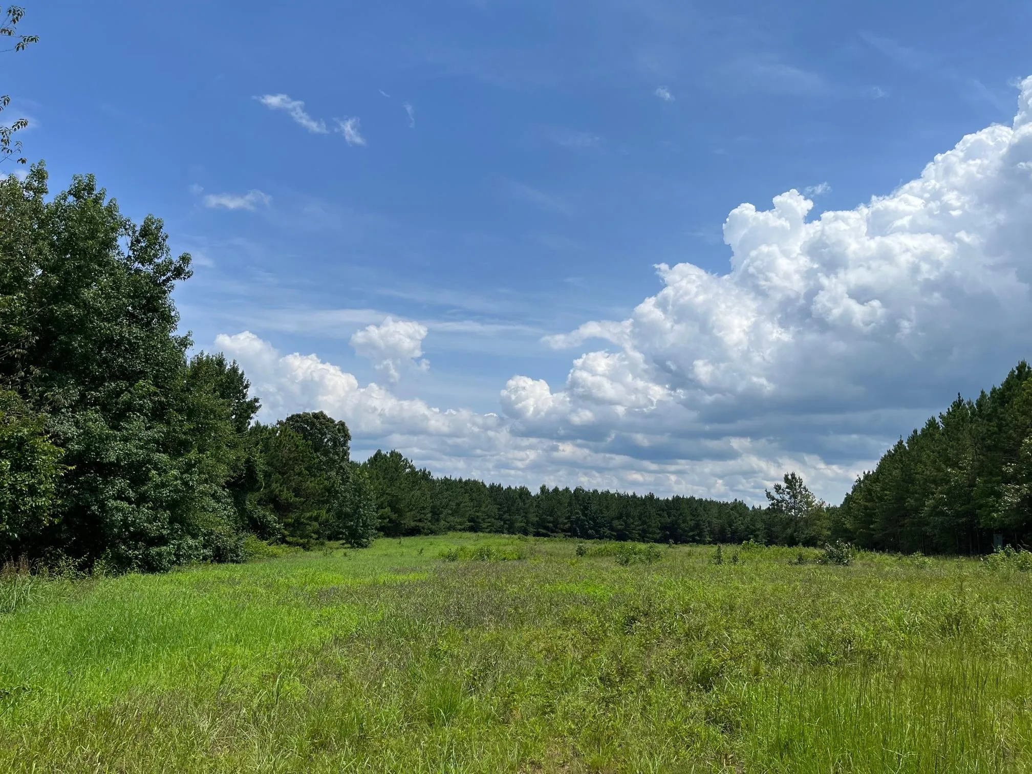 Lamar County, GA Farms and Ranches for Sale - 4 Listings | LandWatch