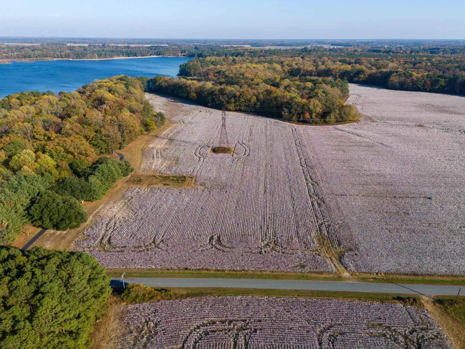 Land for Auction - 296 Listings | LandWatch