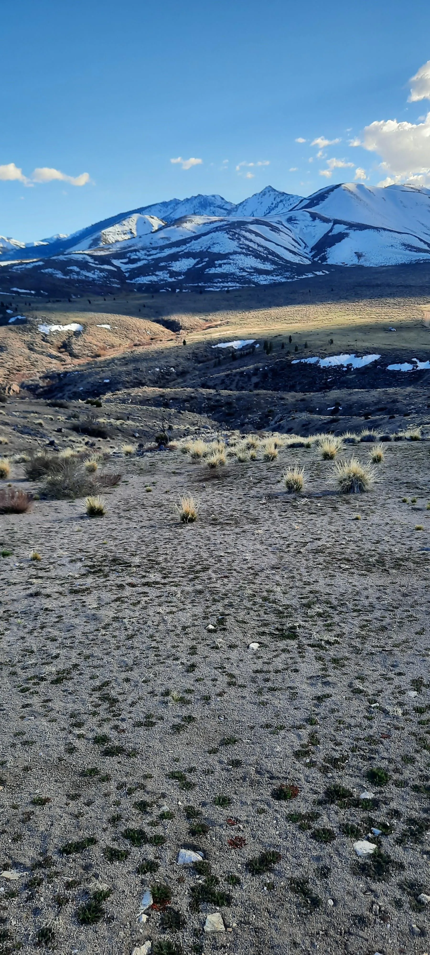 Gold Country Region, CA Land for Sale up to $50K - 148 Listings | LandWatch