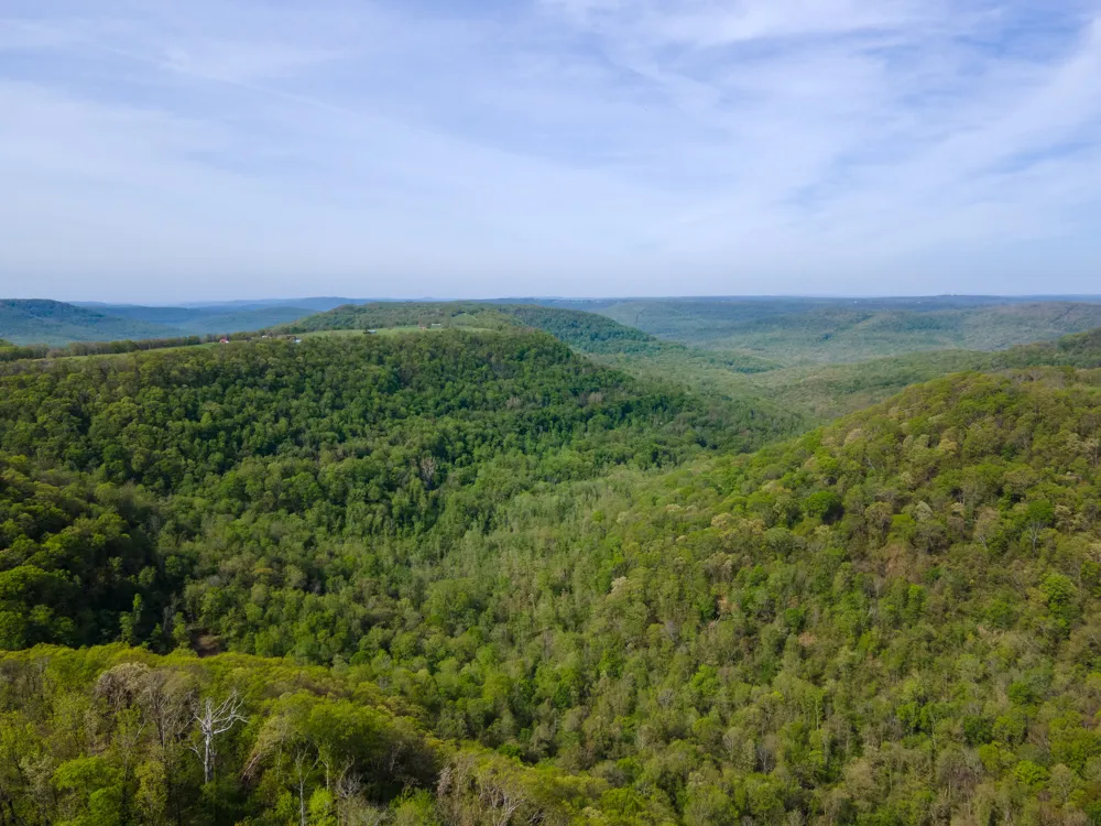 Arkansas Timberland Properties for Sale - 315 Listings | LandWatch
