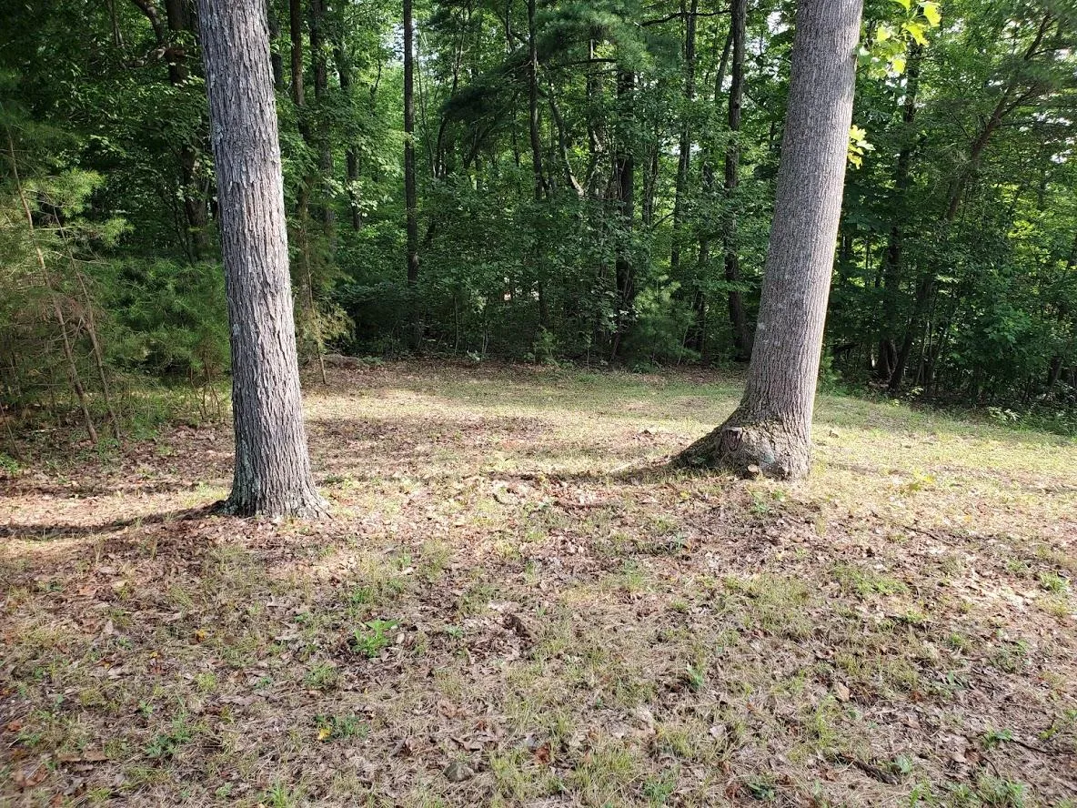 Patrick County, VA Land for Sale, Land for Sale in Patrick County, VA ...