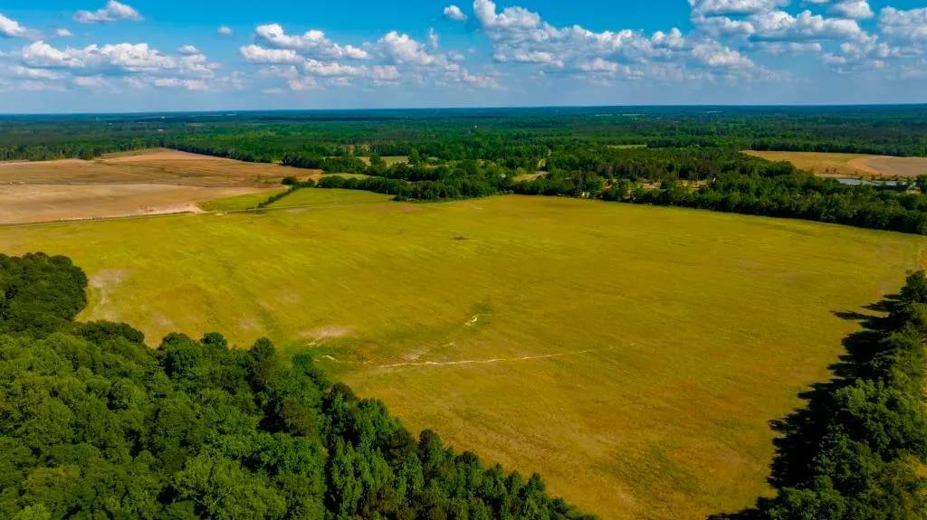 Georgia Farms and Ranches for Sale - 756 Listings | LandWatch