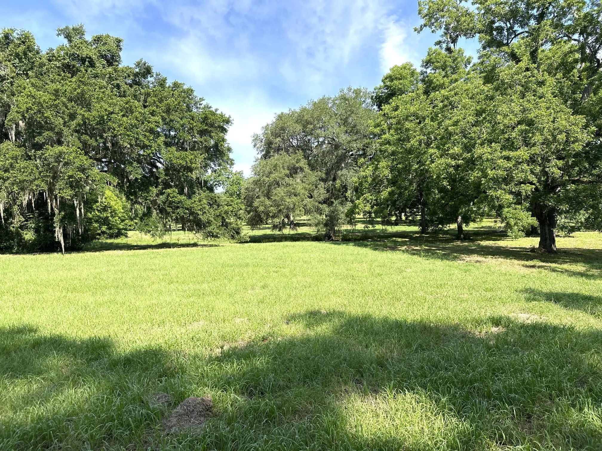 North Central Region, FL Farms and Ranches for Sale - 82 Listings ...