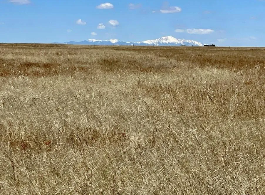 Colorado Farms and Ranches for Sale between 51 and 100 Acres - 57 ...