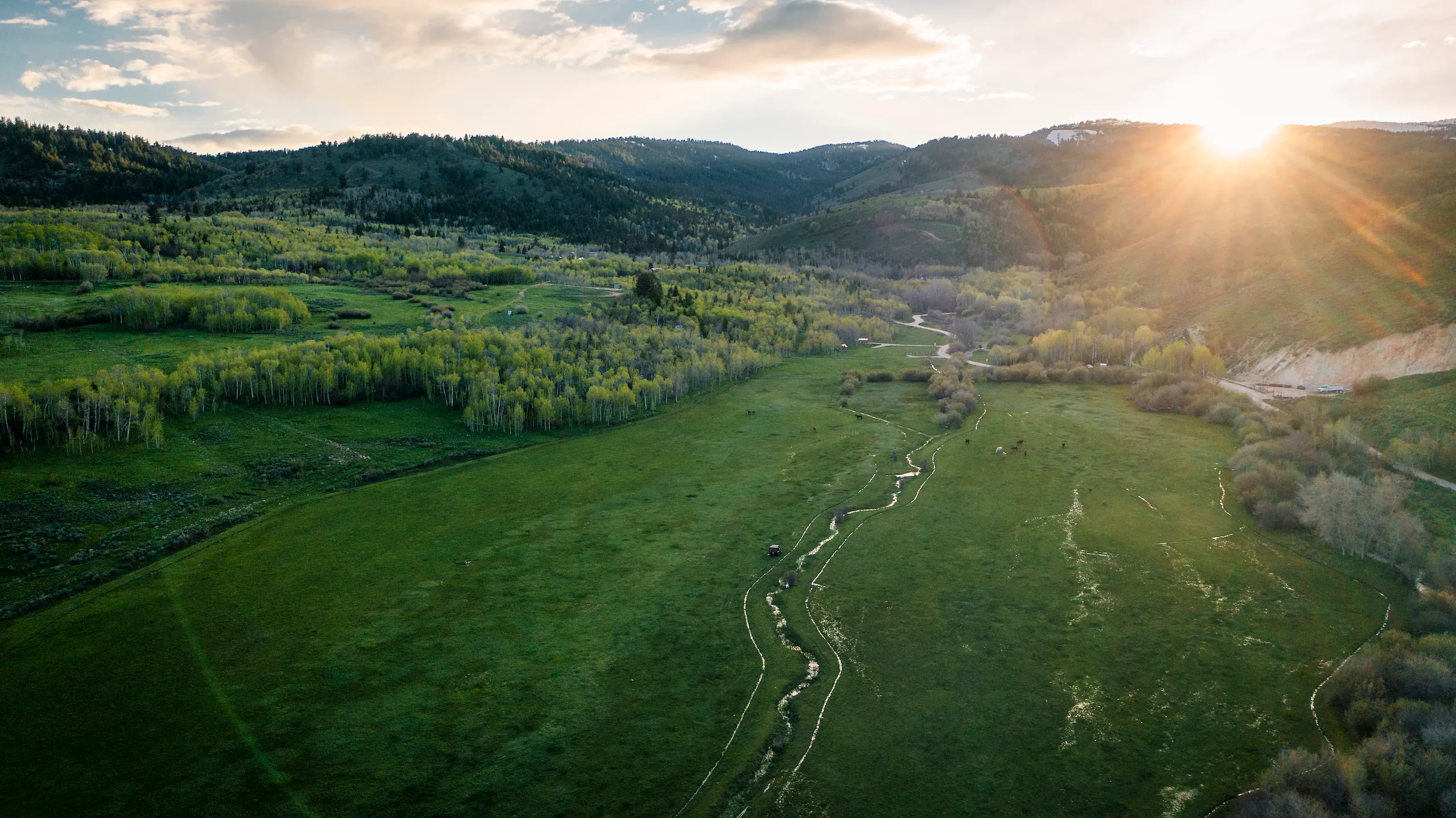 Idaho Timberland Properties for Sale, Timberland Properties for Sale in ...