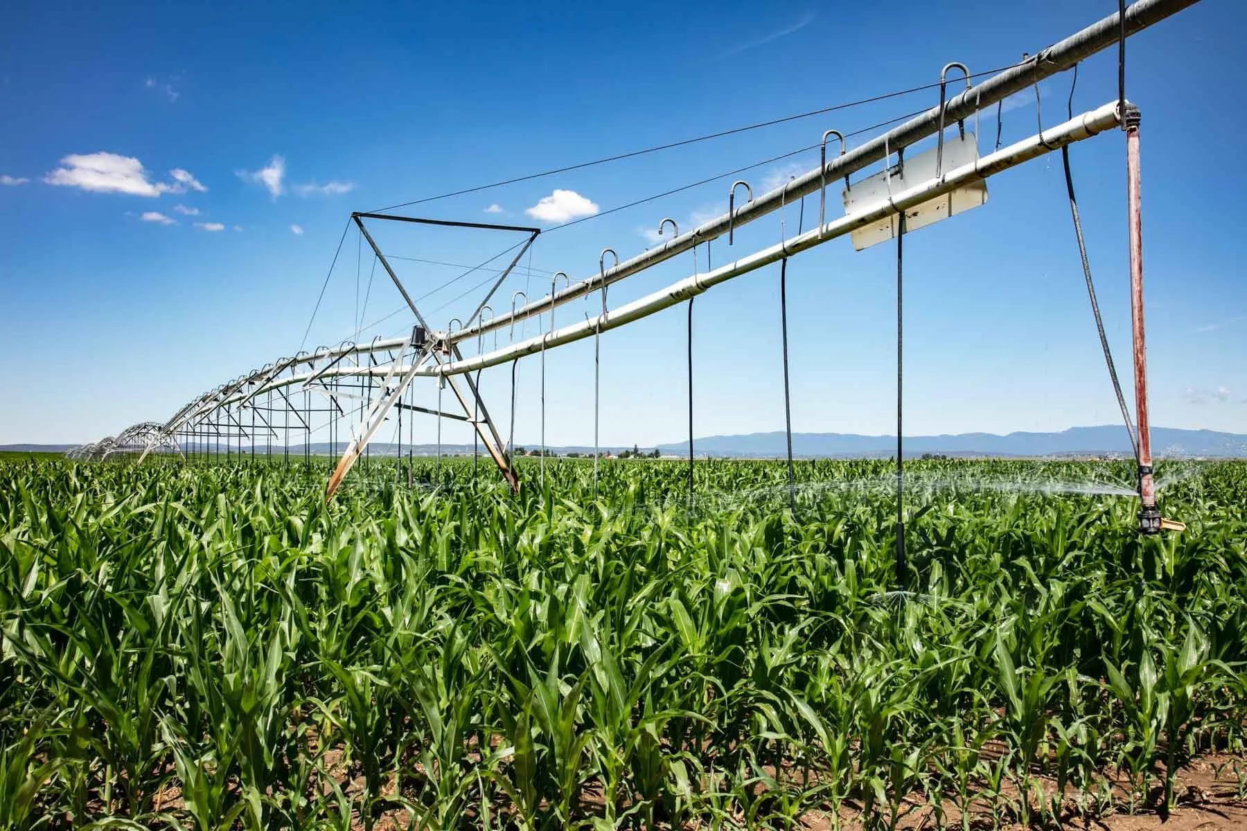 North Central Region, NM Farms and Ranches for Sale - 40 Listings ...