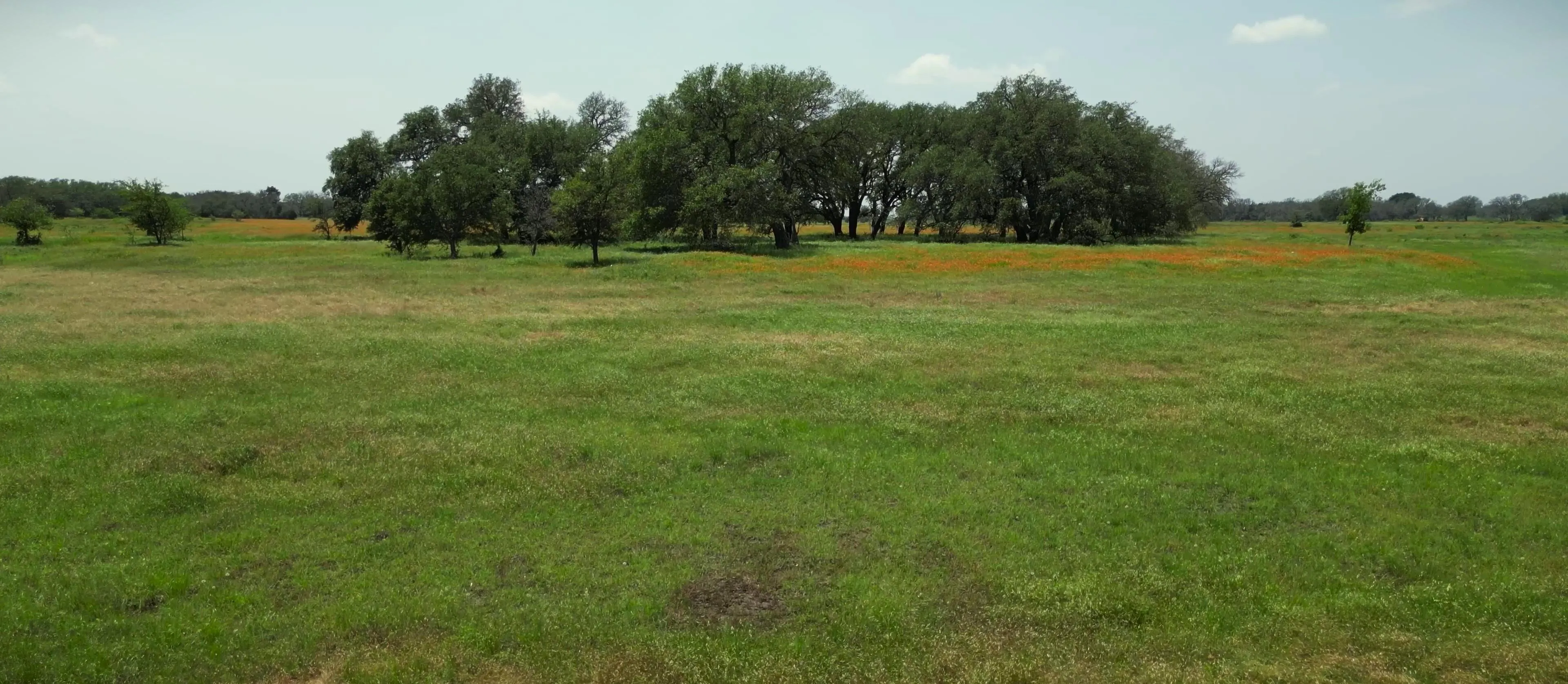 Page 6 - Texas Farms and Ranches for Sale - 8,071 Listings | LandWatch