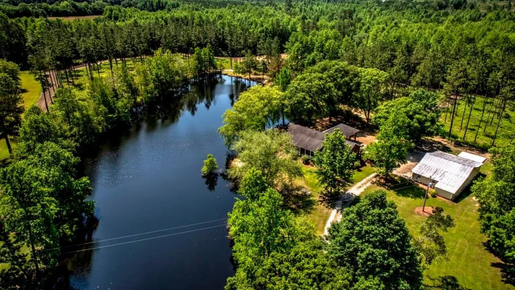 Historic South Region, GA Hunting Land for Sale between $750K and $1 ...