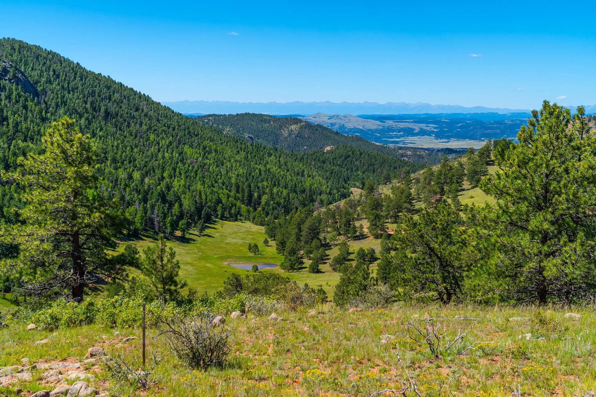 Teller County, CO Land for Sale - 411 Listings | LandWatch