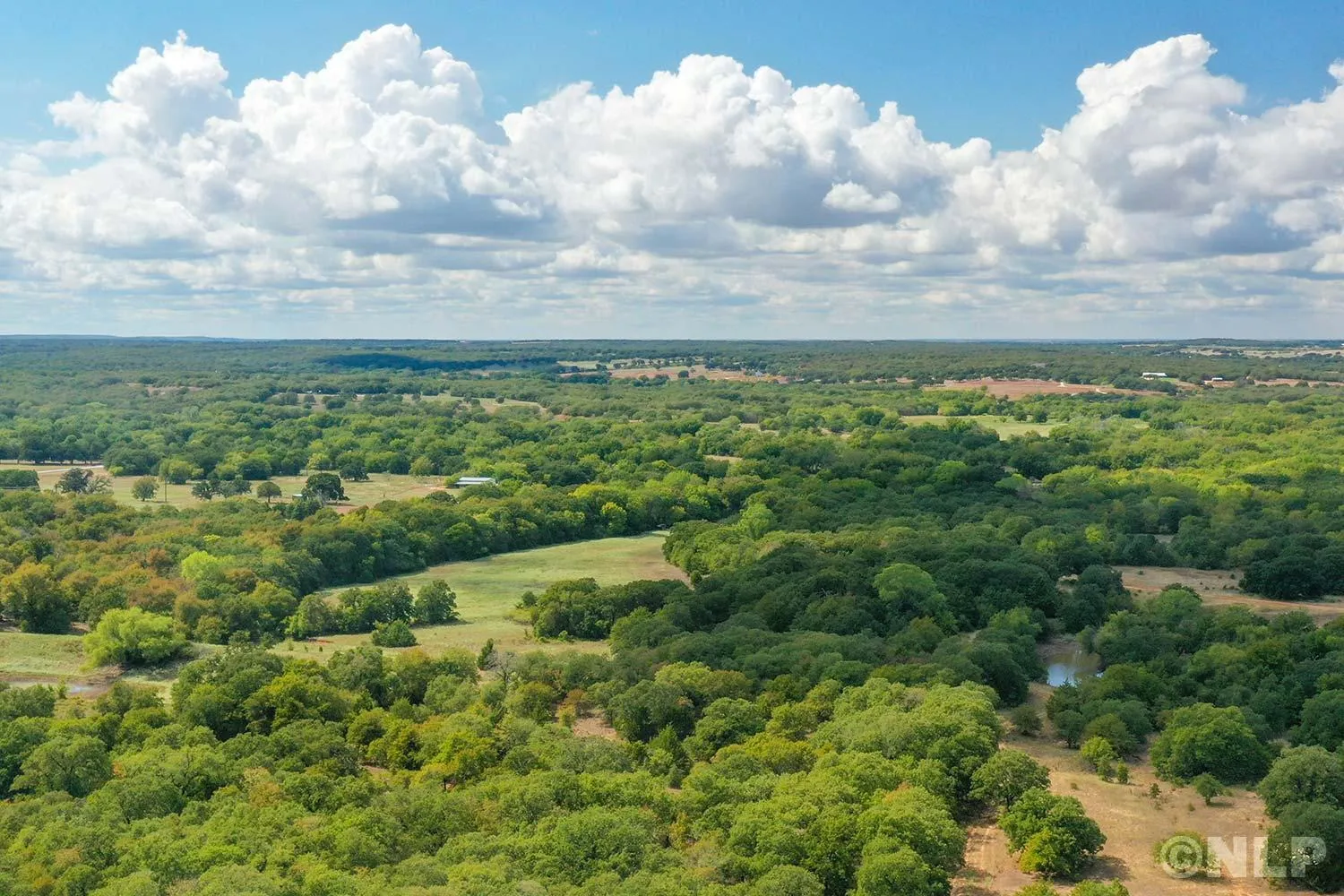 Texas Land for Sale up to $50K - 6,969 Listings | LandWatch