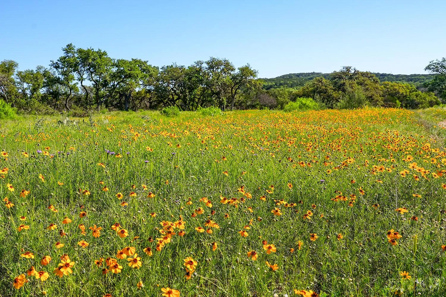 Edwards Plateau South Region, TX Land for Sale up to 10 Acres - 670 ...