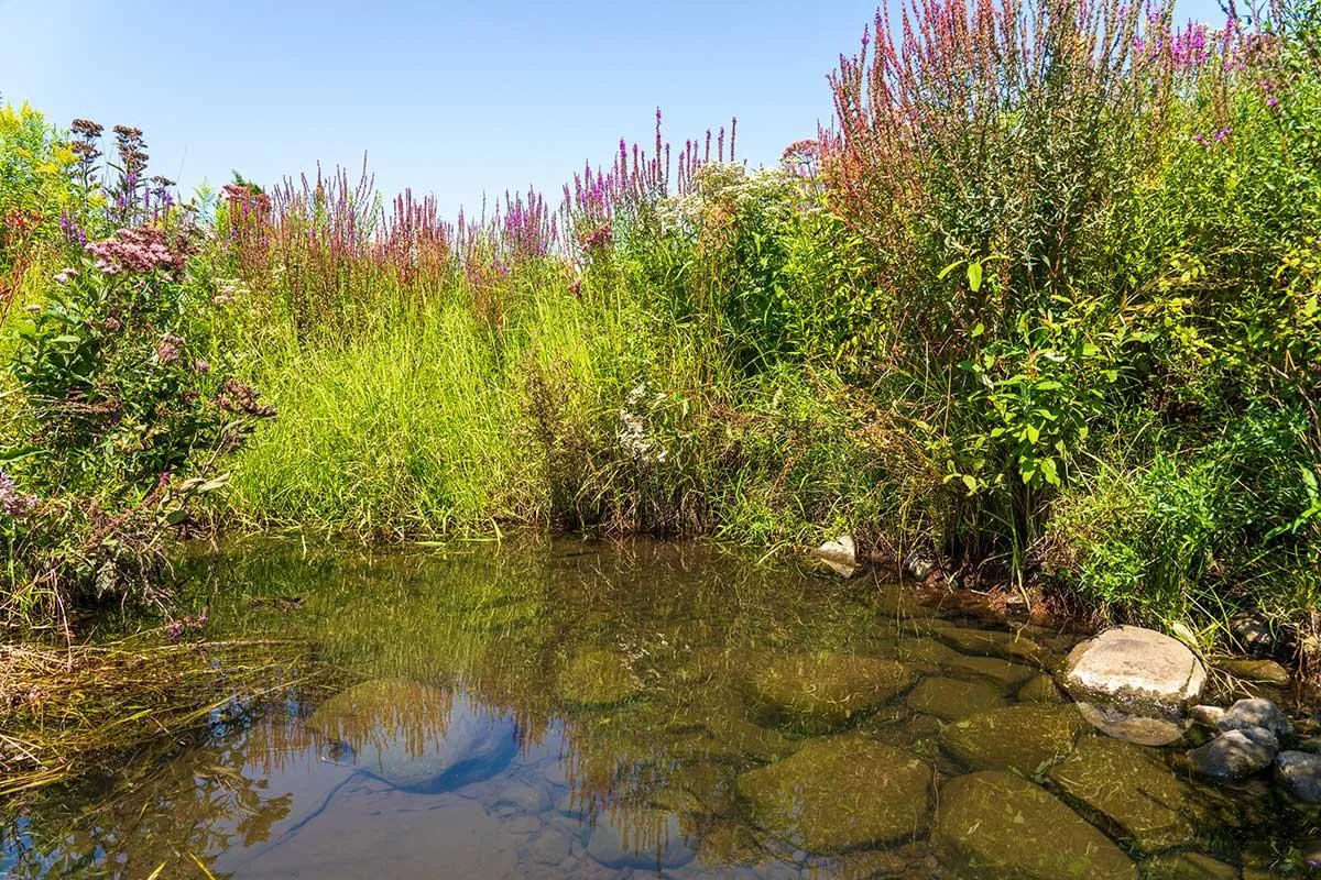 Owner Financing Land for Sale - 13,573 Listings | LandWatch