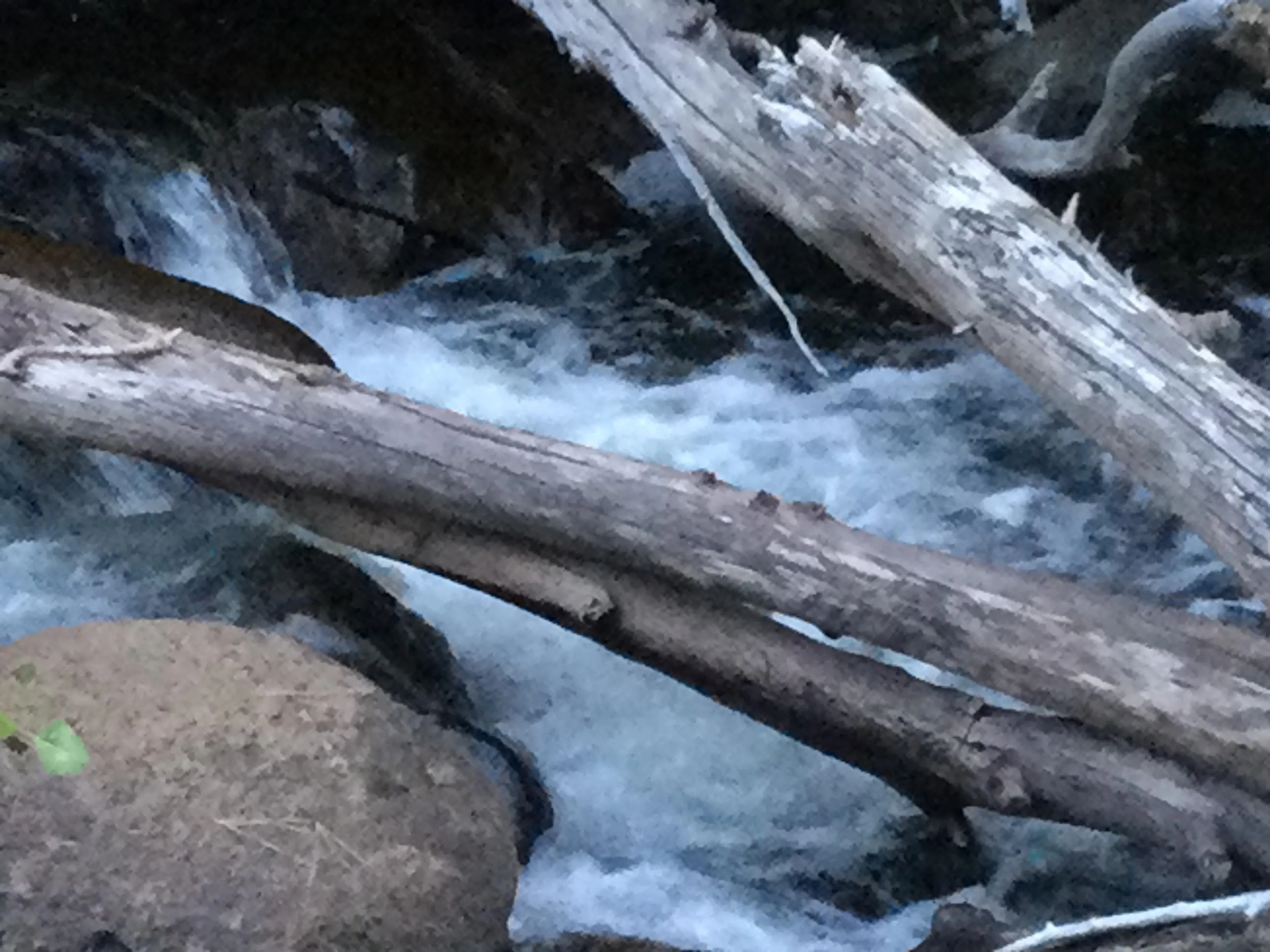 Gold Country Region, CA Land for Sale up to $50K - 180 Listings | LandWatch