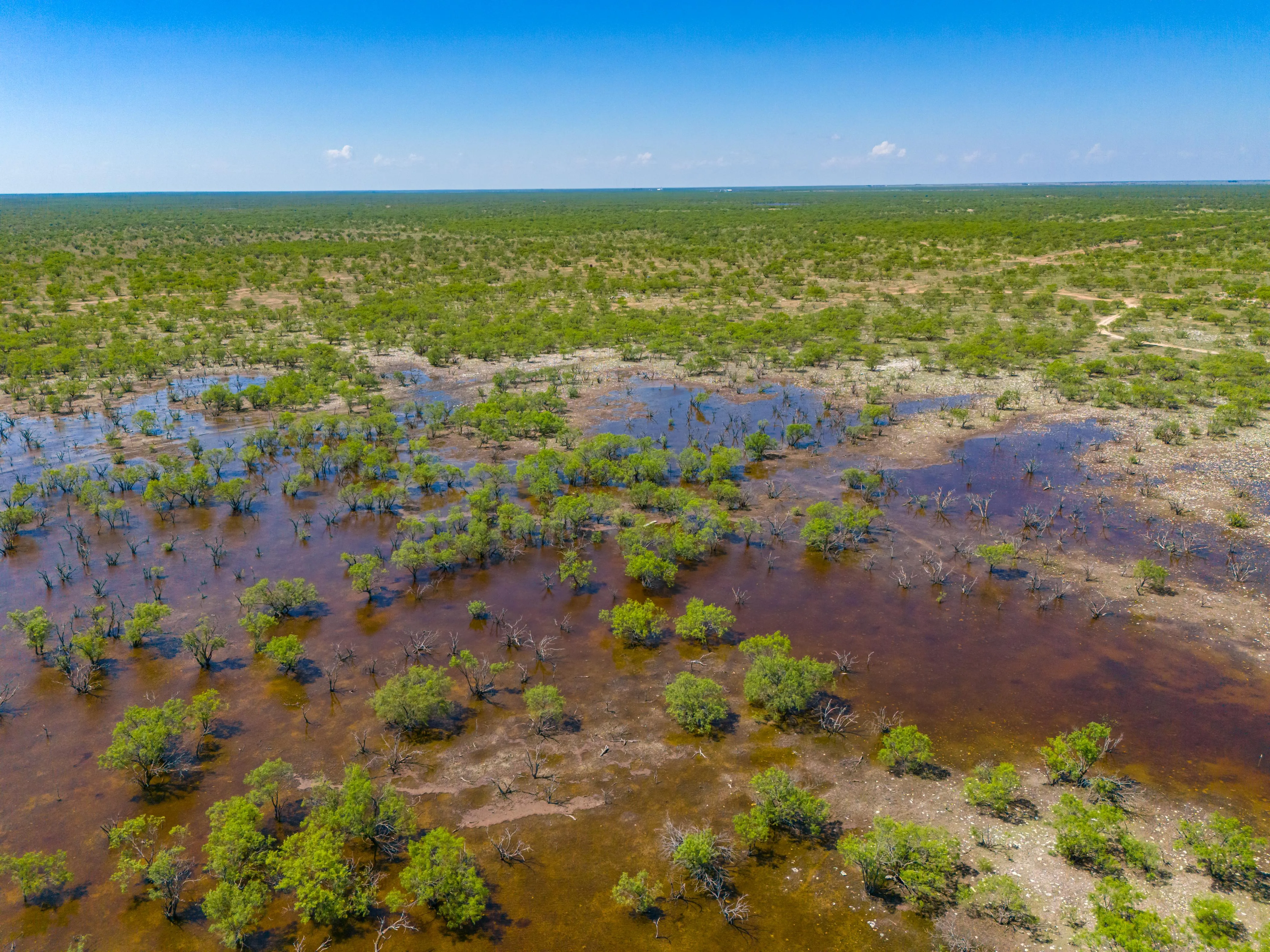 Schleicher County, TX Land for Sale over 1000 Acres - 4 Listings ...
