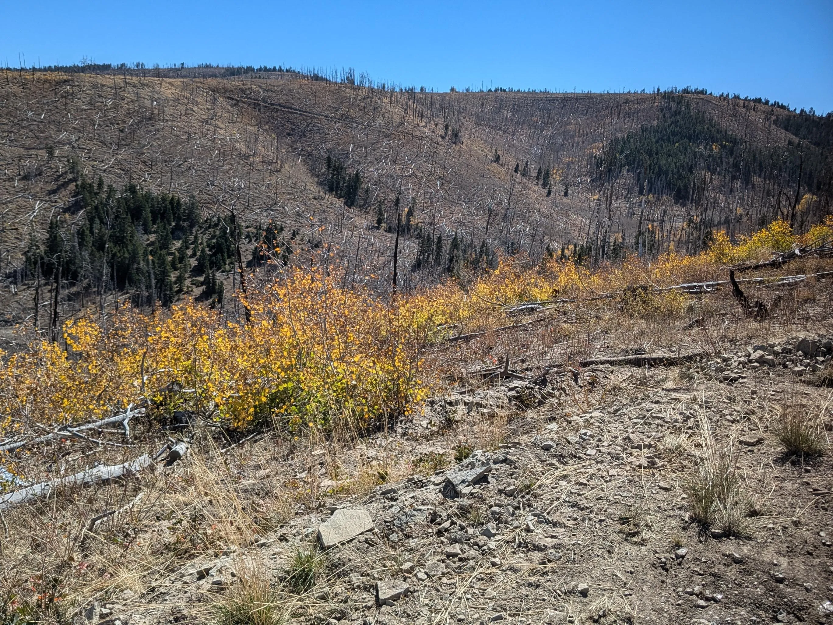 Utah Undeveloped Land for Sale - 1,919 Listings | LandWatch