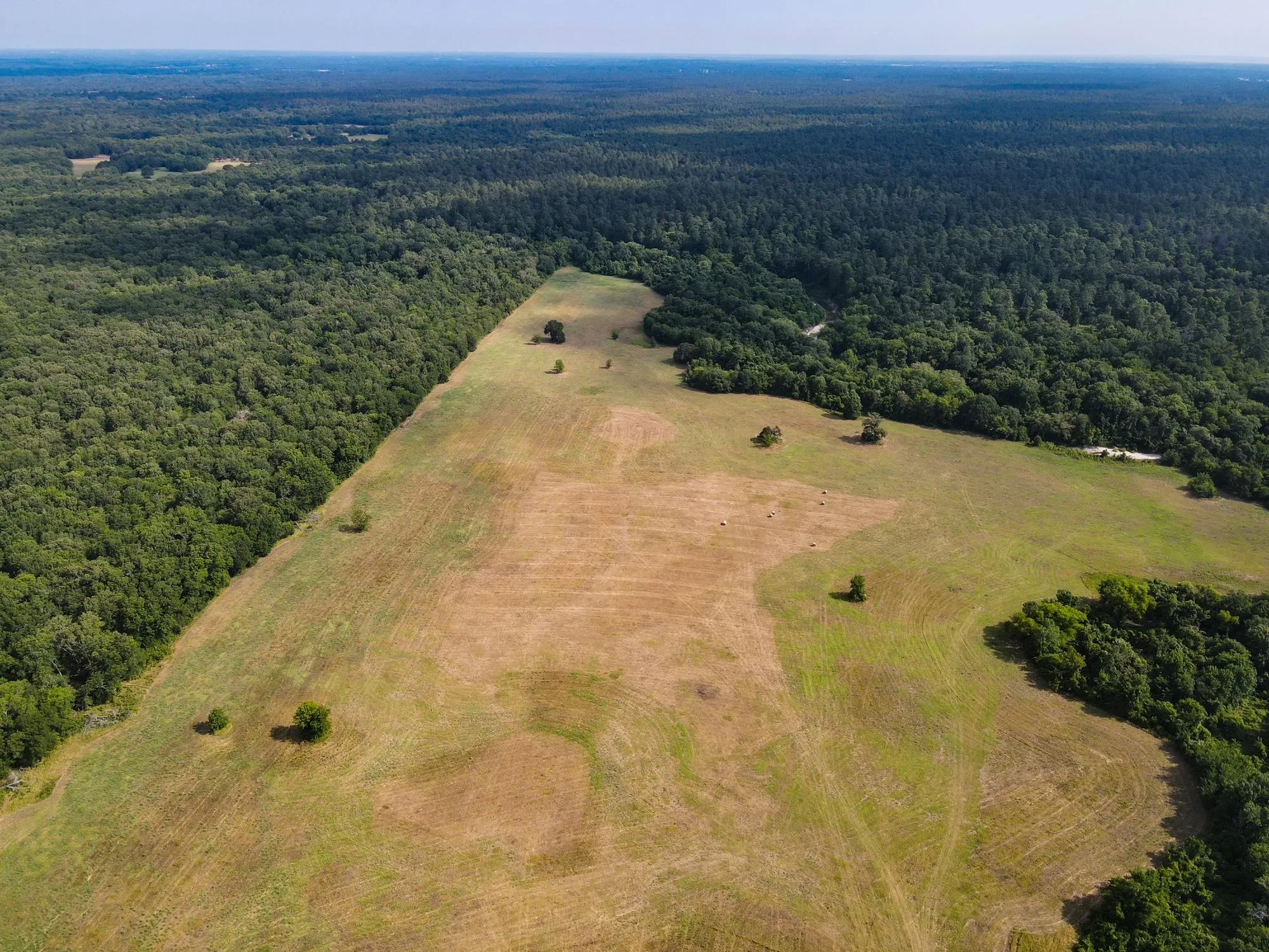Houston Region, TX Land for Sale over 500 Acres - 27 Listings | LandWatch