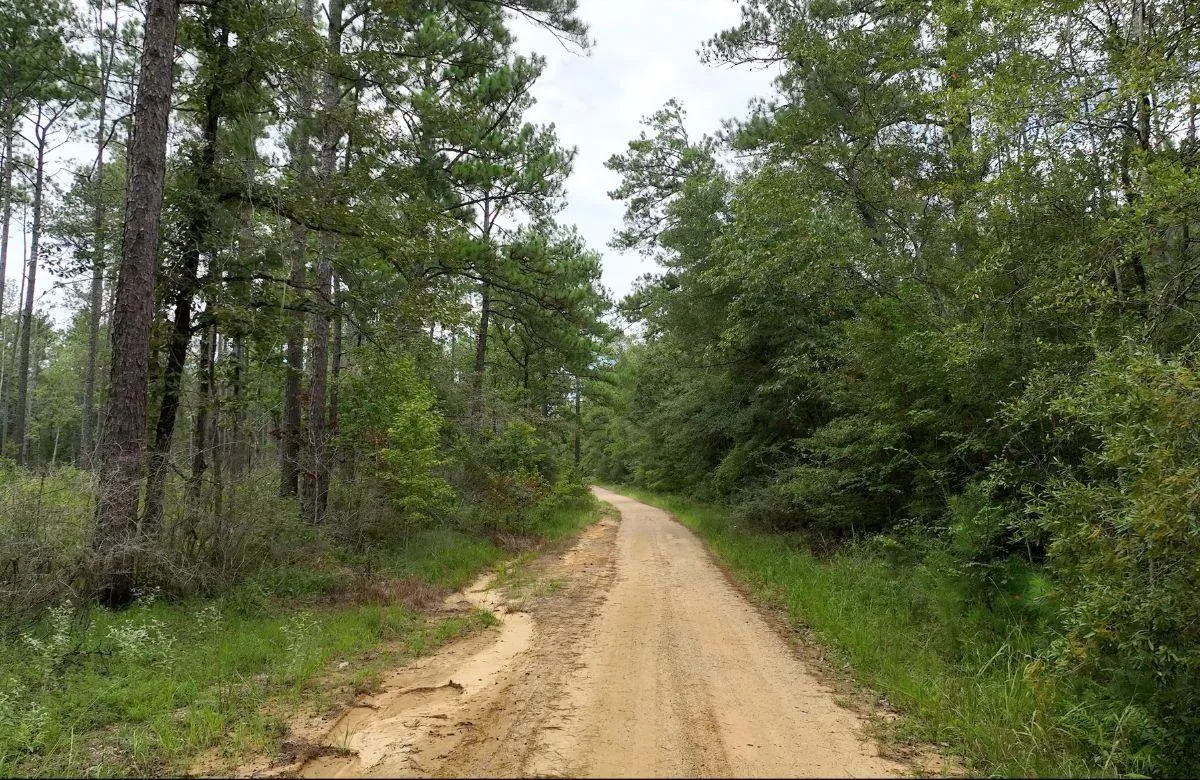 Coastal Region, MS Hunting Land for Sale, Hunting Land for Sale in ...